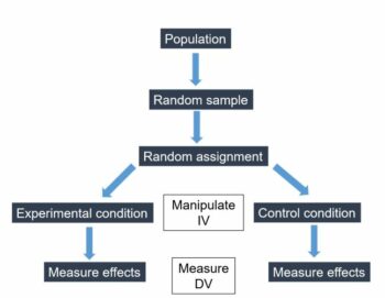 The Experiment - Research Methods and Statistics with jamovi